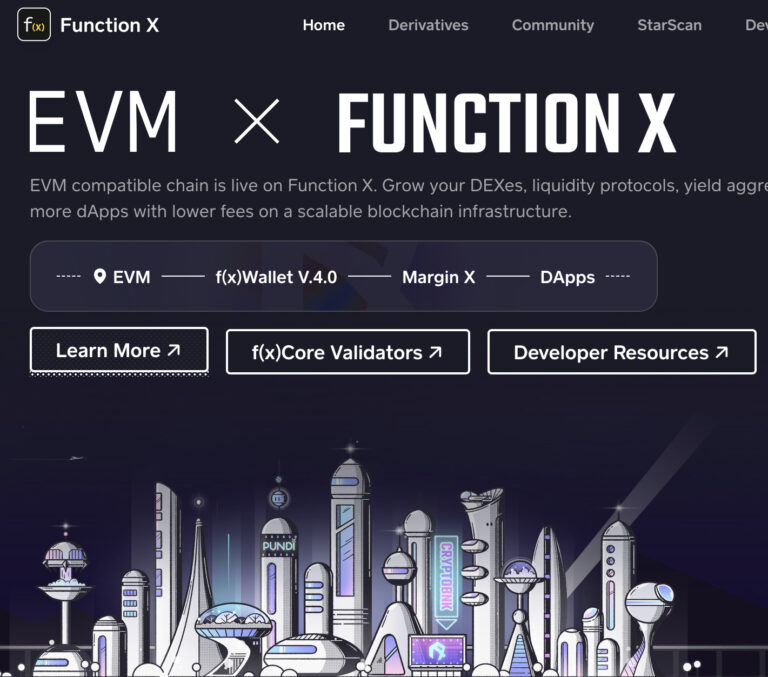 従来の金融商品をミラーリング【 Function X（FX）とは 】創設者・特徴・供給量・投資における将来性まで解説
